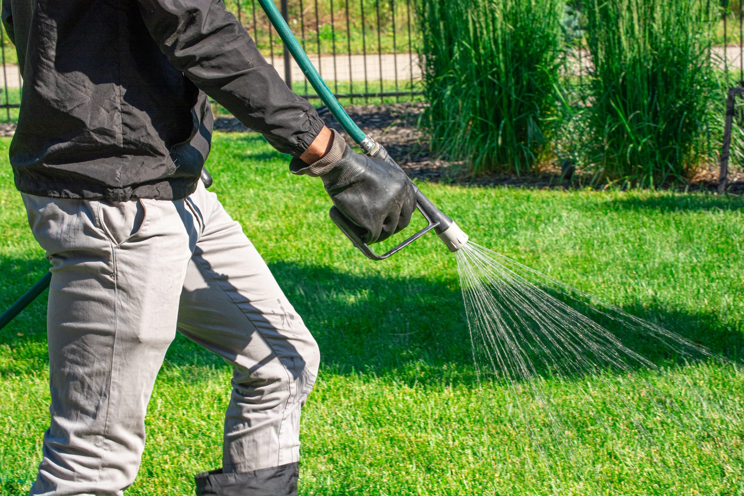 When Should I Fertilize My Lawn in Alberta? | Neighbourhood Heroes Lawn ...