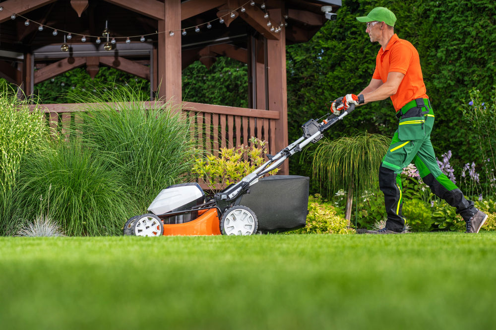 Complete List Of Lawn Care Services You Didn’t Know You Needed ...